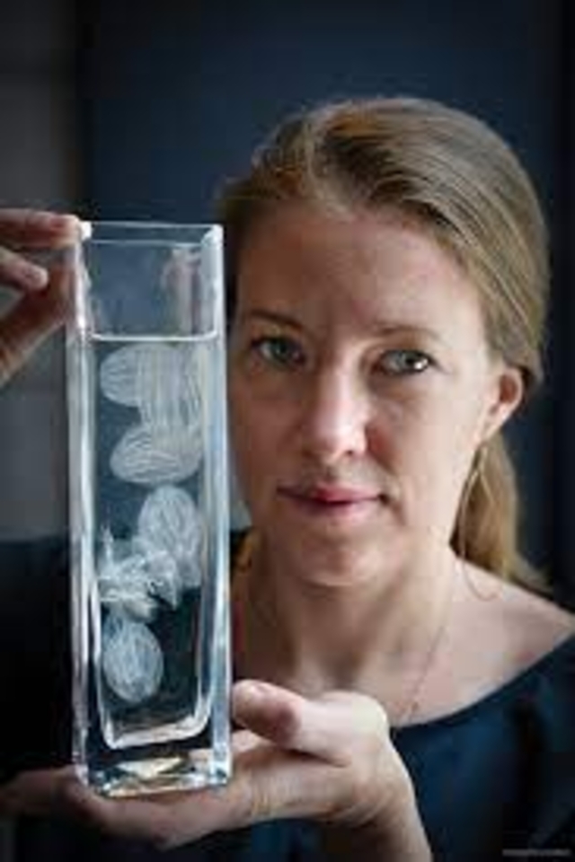 Alison Sweeney | Program in Physics, Engineering, and Biology (PEB)